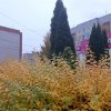 Иконка канала Работа дворником(изнанка).
