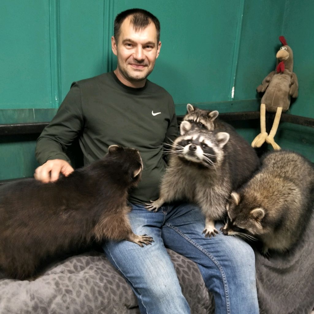 Иконка канала Tim