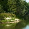 Иконка канала Лесной Релакс
