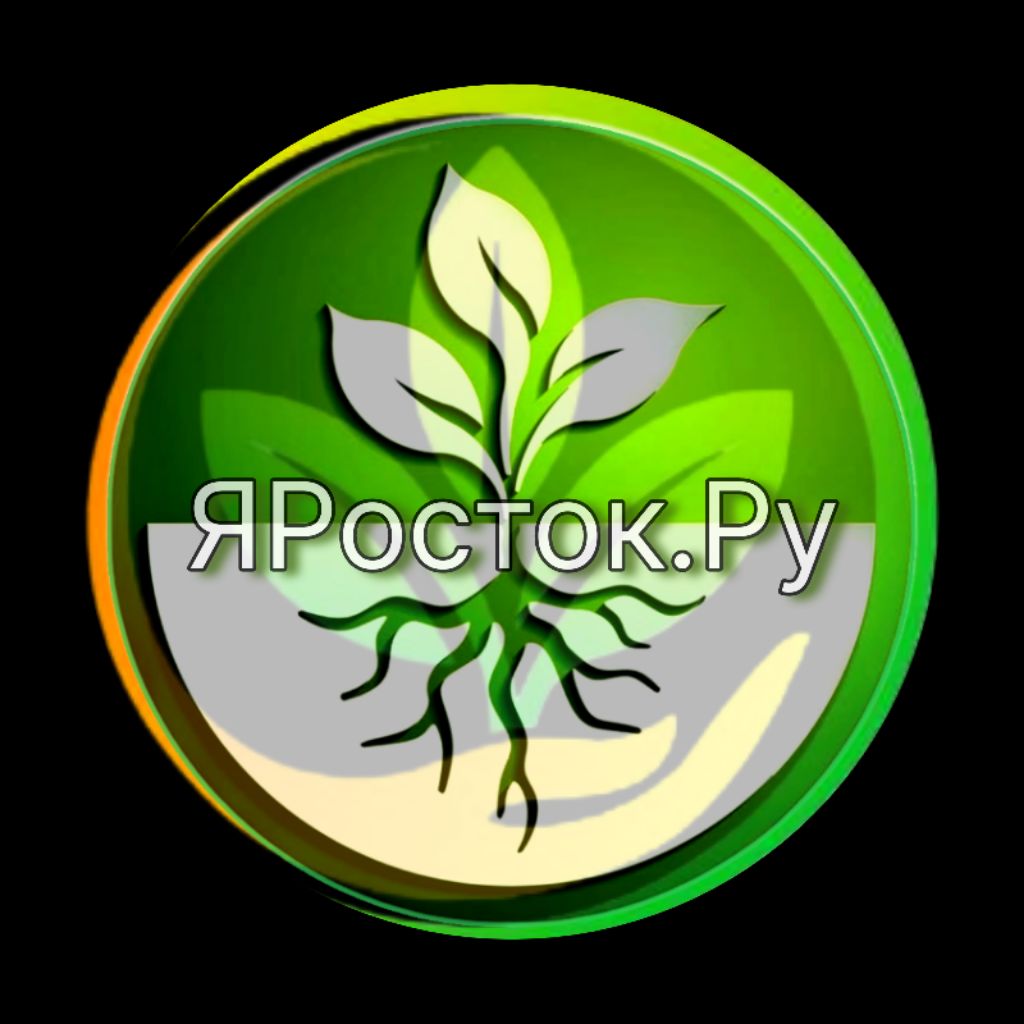 Иконка канала Yarostok.Ru