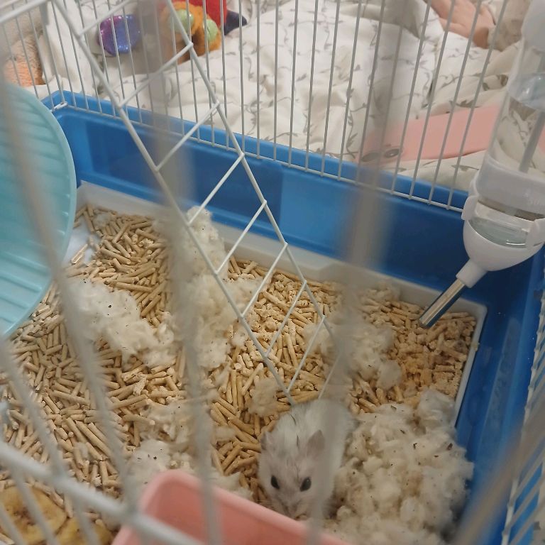 Иконка канала МИЛАНа😼😽😺😸🐈⬛🐈🐱🍫🩶