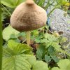 Иконка канала Наша природа (Our nature)