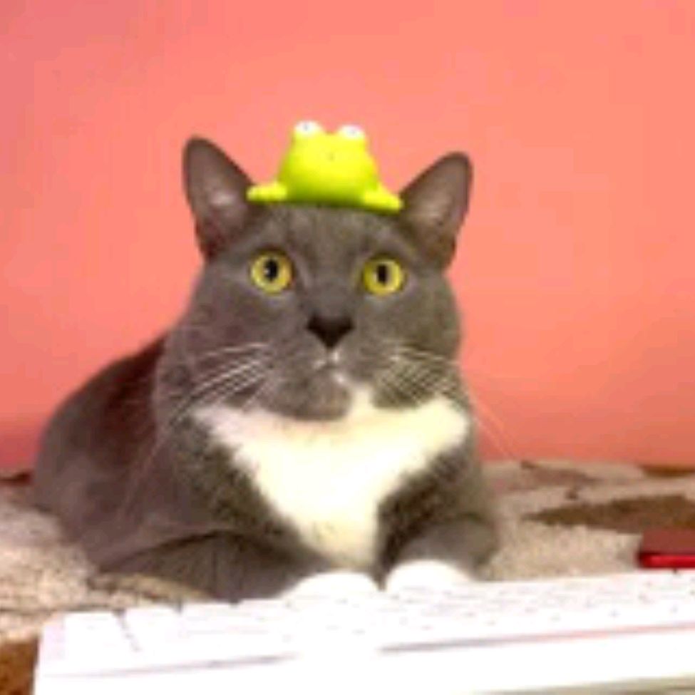 Иконка канала Кусев 🐱😎🍁🇷🇺