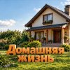 Иконка канала AS_HUB: ДОМАШНЯЯ ЖИЗНЬ🛠️