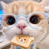 Иконка канала channel82344335