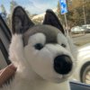 Иконка канала ★Пёс_Рекс ПДБ