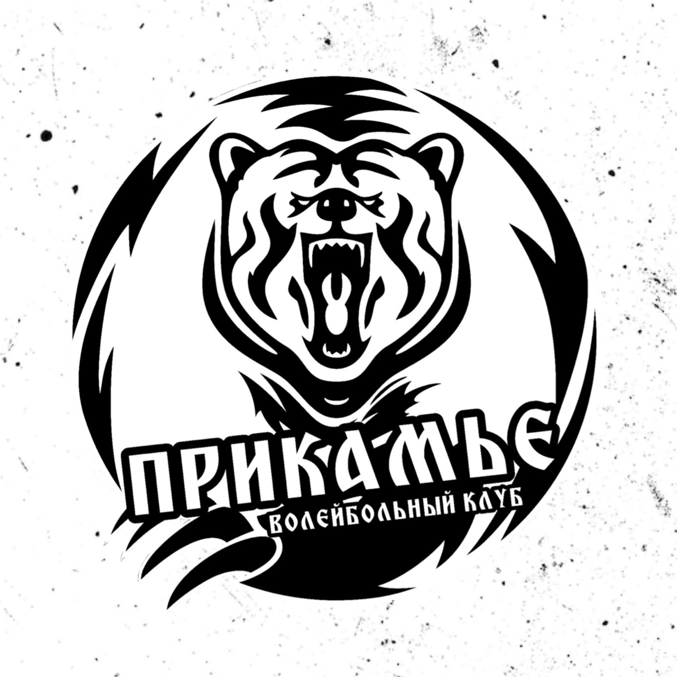 Иконка канала Волейбольный клуб «Прикамье»