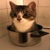 Иконка канала Беляшмун8