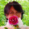 Иконка канала 🌺🌿🍓Дом глоксиний и орхидей🥀🌺🌹🌸