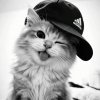 Иконка канала КРОСАПЕТКИ♤♤♤013☆☆☆113