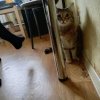 Иконка канала Глафира