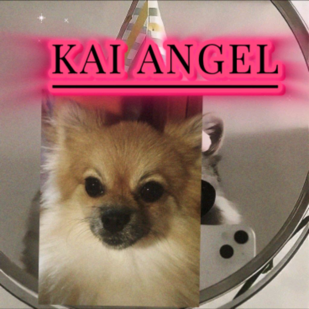 Иконка канала Kai angel