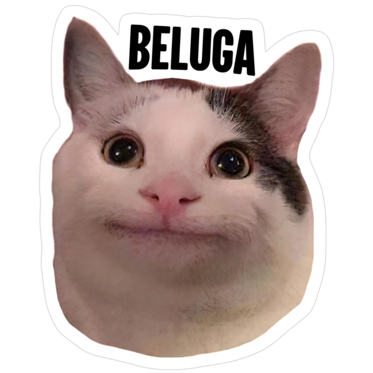 Иконка канала beluga ☑✅