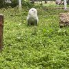 Иконка канала Медведь