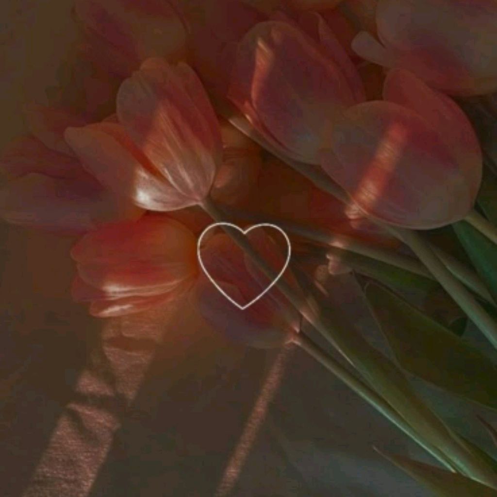 Иконка канала ᴀʟᴇɴᴀ&ʟᴇᴋsᴜᴀ💓