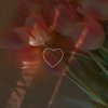 Иконка канала ᴀʟᴇɴᴀ&ʟᴇᴋsᴜᴀ💓