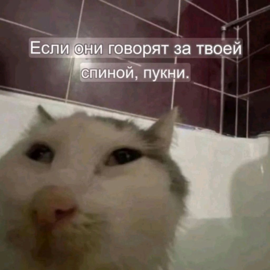 Иконка канала Снежная Буря 🌀 кв**