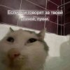 Иконка канала Снежная Буря 🌀 кв**