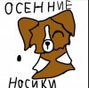 Иконка канала 🍁🍂🐾ОСЕННИЕ НОСИКИ 🍁🍂🐾