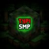 Иконка канала TypiSMP