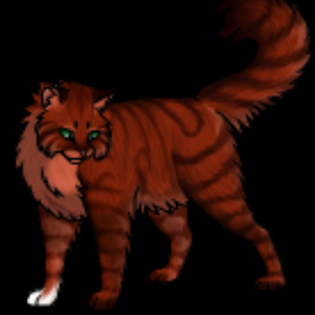 Иконка канала Squirrel|Warriors Cats|SH