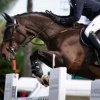 Иконка канала ✨🐎КСК Золотое Яблоко 🐎✨ Лошади  Шляйх + Компот
