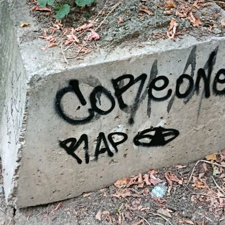 Иконка канала Coreoner (Коронер)