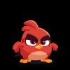 Иконка канала Angry Birds
