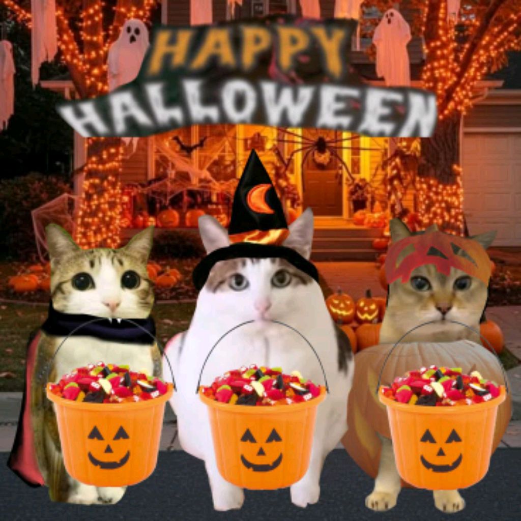 Иконка канала Сериал заброшенная площадка🎃🍁