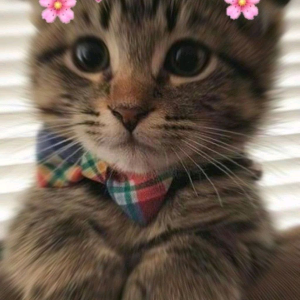 Иконка канала Regju Nova 🫶💗