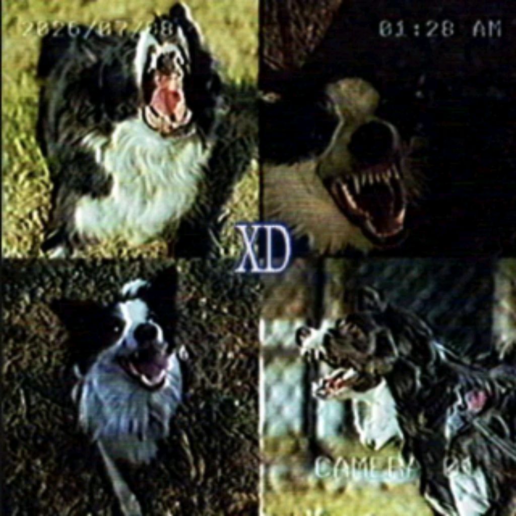 Иконка канала Vicious dog
