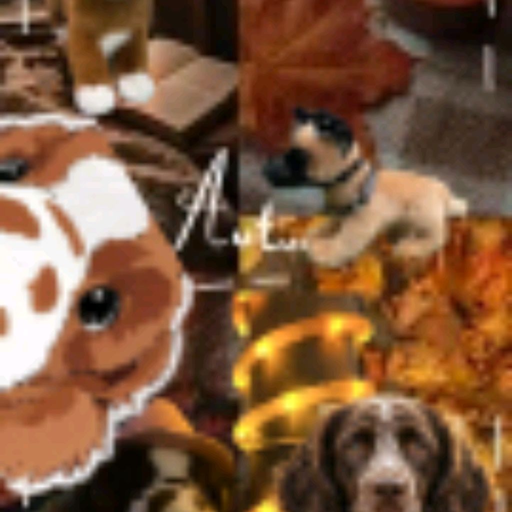 Иконка канала 🤎🧡♡~Пяtnistая Dog~♡🧡🤎