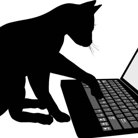 Иконка канала iT Кот