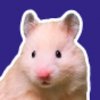 Иконка канала HAMSTERS SHOW