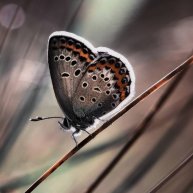 Иконка канала Усп... музыка 36eaf855-0324-4021-8838-9f047ee95216