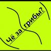 Иконка канала Чё за Грибы?