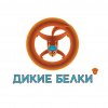 Иконка канала Комплекс парков «Дикие белки»