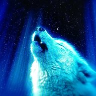 Иконка канала Nik Nayde