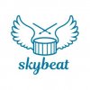 Иконка канала Skybeat Music