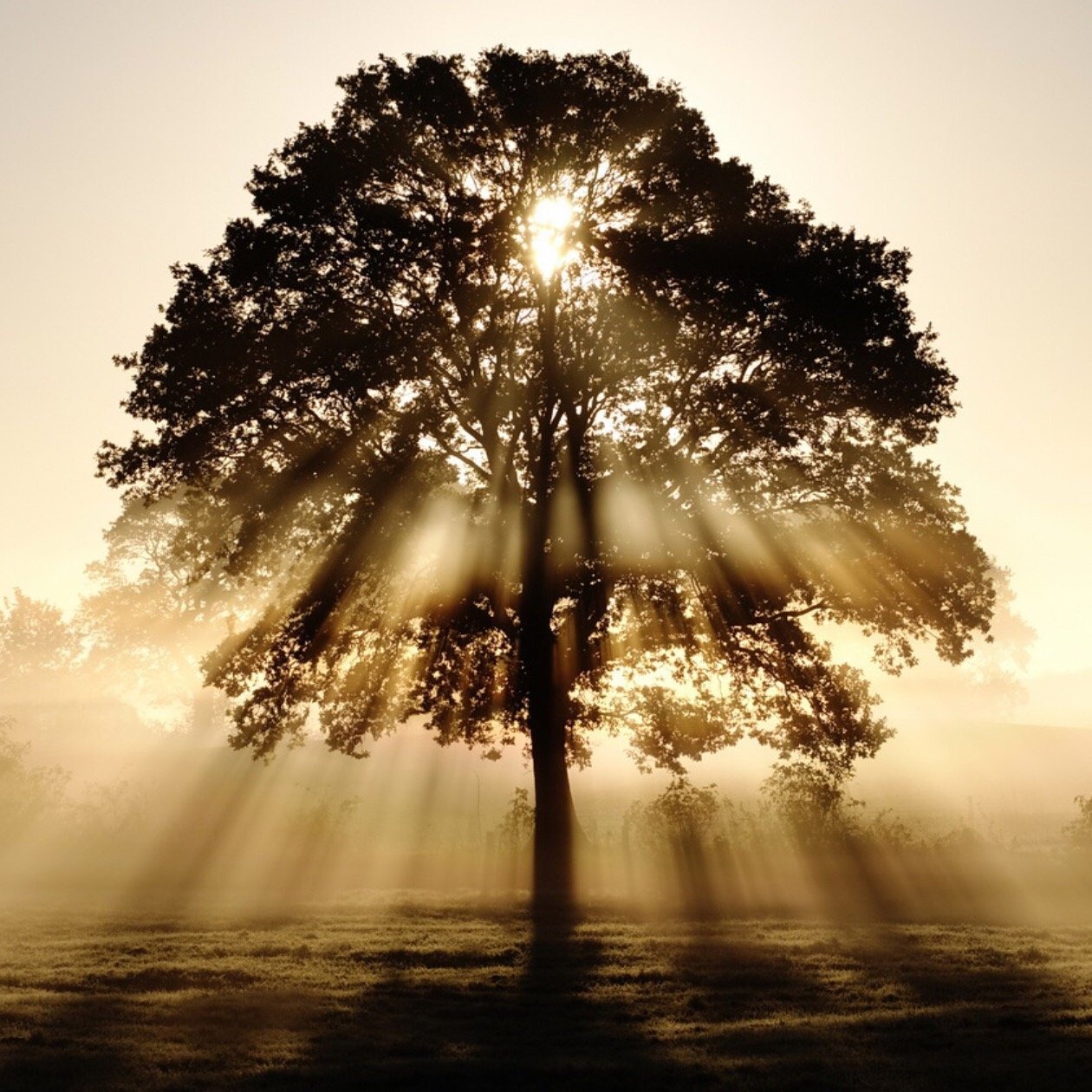 Иконка канала MyFamily