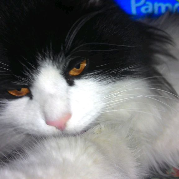 Иконка канала сделай сам! и не только!