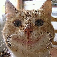 Иконка канала rutube_account_1819388