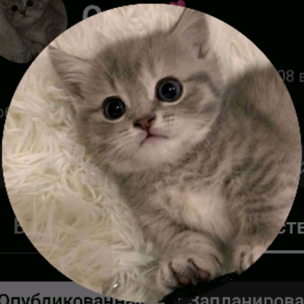 Иконка канала Happy Mem Cats💕