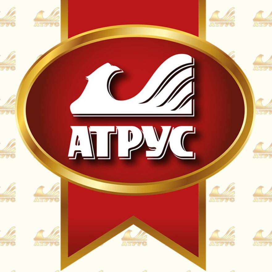 Иконка канала Компания "Атрус"