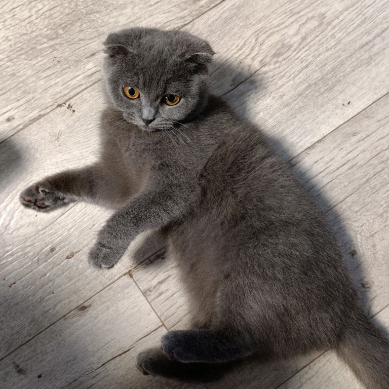 Иконка канала Krimea