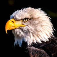 Иконка канала 333