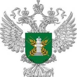 Иконка канала Технический канал Россельхознадзора