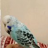 Иконка канала Юлька