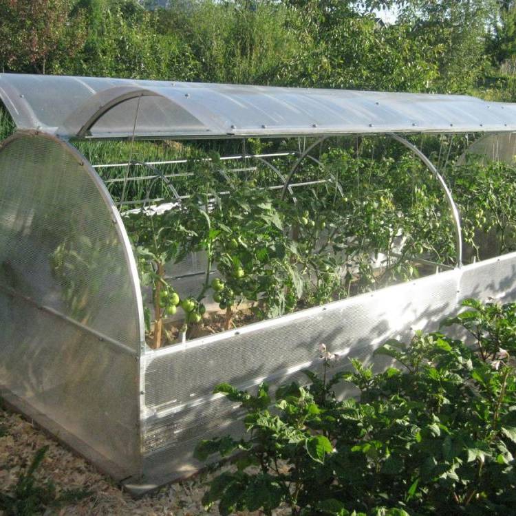 Иконка канала Мой парник