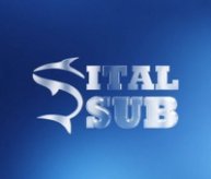 Иконка канала ITAL-SUB